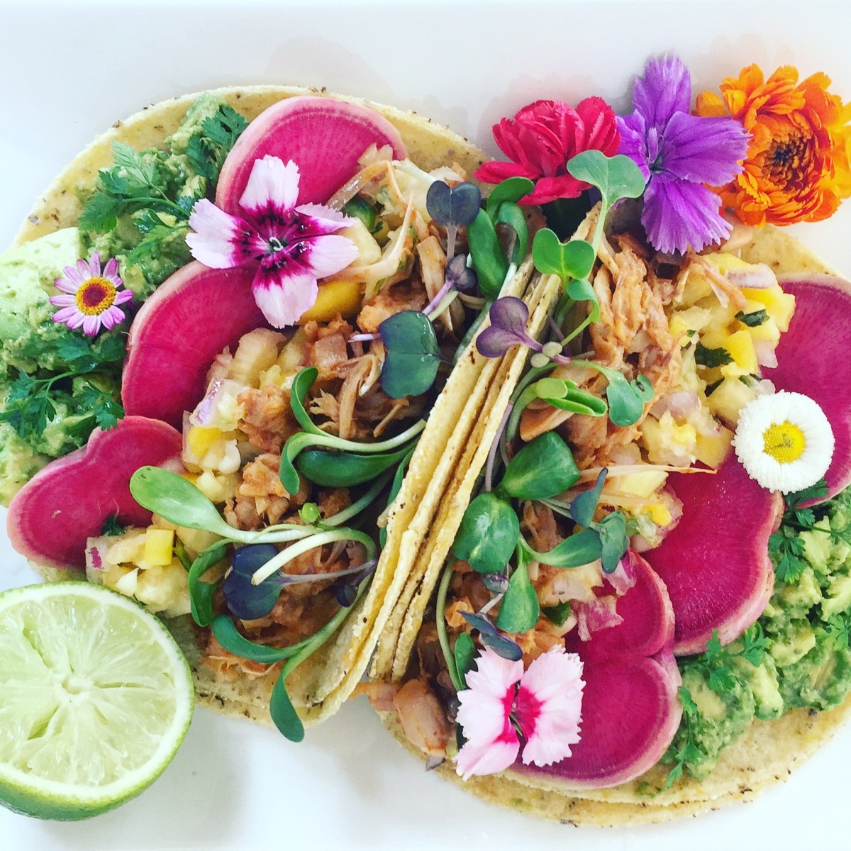 Jackfruit Tacos with Edible Flowers – Meet The Smallsens